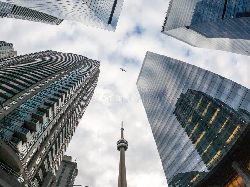 CN Tower in between Two Buildings in Downtown Toronto Canada Editorial ...