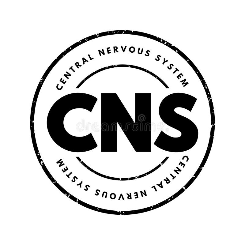 CNS - Central Nervous System is the Part of the Nervous System ...