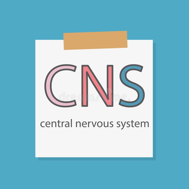 Cns Stock Illustrations – 1,530 Cns Stock Illustrations, Vectors ...