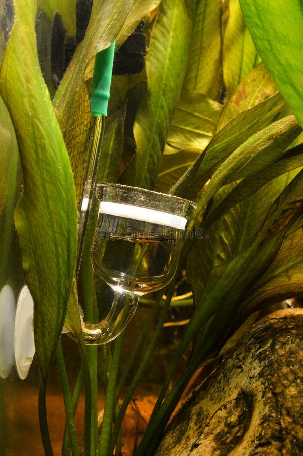 Co2 diffuser stock photo. Image of decorative, carbon - 201408584