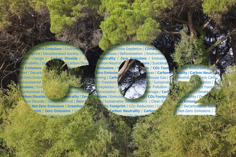Co2 Net Zero Emission Carbon Neutrality Concept Against Forest Keywords ...