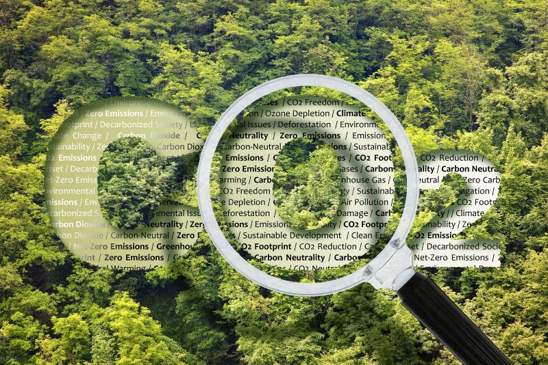 CO2 Net-Zero Emission - Carbon Neutrality Concept Against a Forest with ... CO2 Net-Zero Emission - Carbon Neutrality Concept Against a Forest with ...