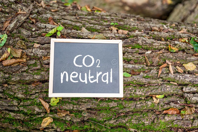 Net Neutrality Written on a Wooden Surface. Stock Image - Image of ...