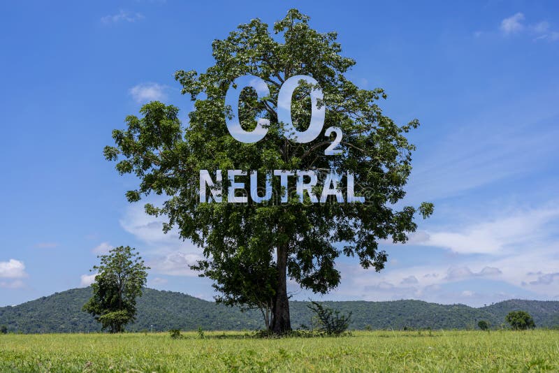 CO2 Neutral Written on a Tree Trunk, Carbon Neutrality Concept Stock ...