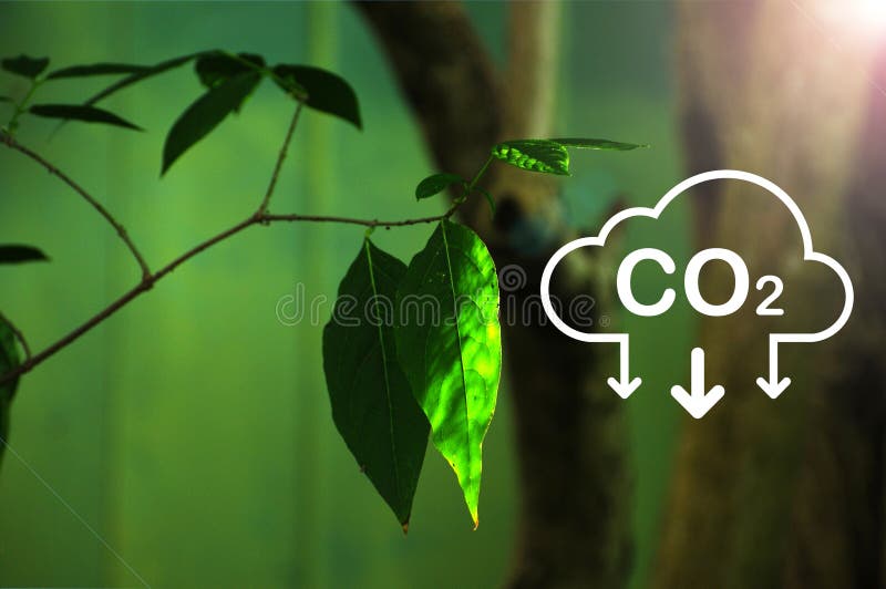 CO2 Reducing Icon and a Green Leaf on Tree. CO2 Reduction Concept for ...