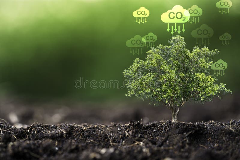 Reducing Carbon Footprint Icon Stock Photos - Free & Royalty-Free Stock ...