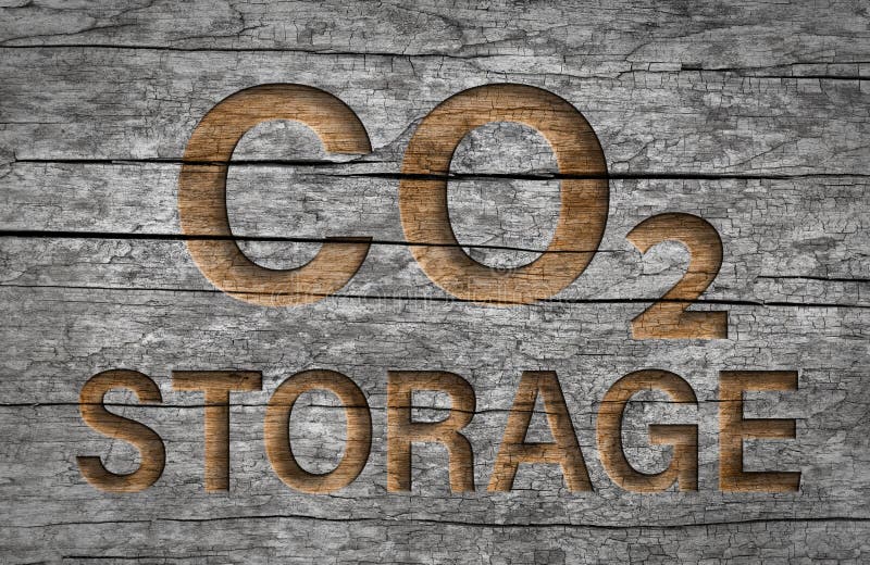 Co2 Storage Text in Wood Natural Storage of Carbon Dioxide Emission ...