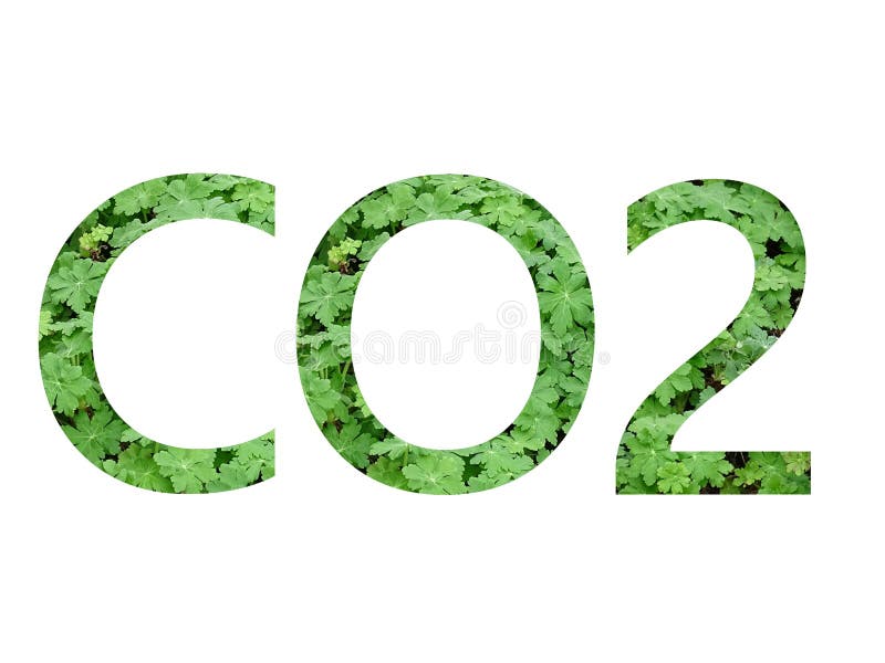 CO2 Text Made with Green Letters of Geranium Stock Illustration ...