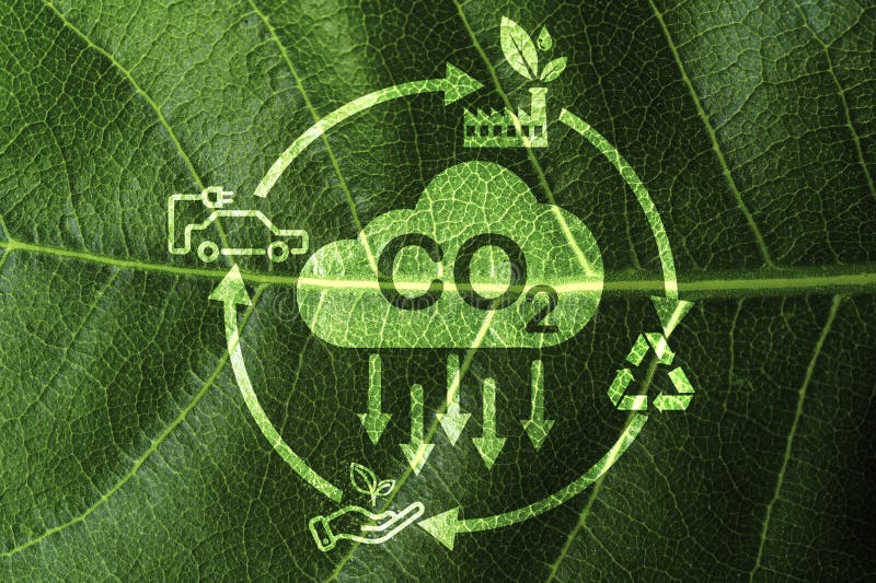 CO2 Reducing Icon with 2050 on Green Torn Paper for Decrease CO2 , Carbon Footprint and Carbon ...