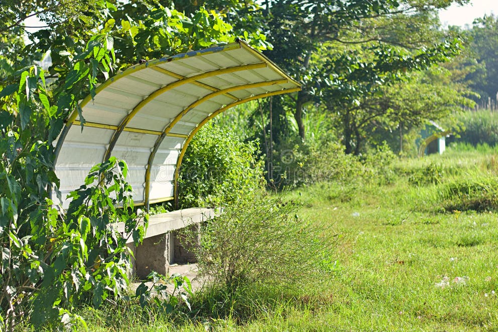 Coach and Reserve Benches in the Old Grass Field Stock Photo - Image of ...
