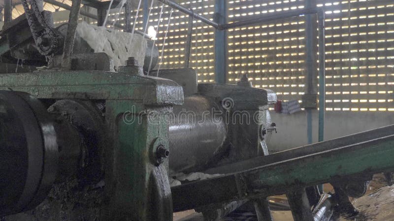 Coagulum is Processed in a Series of Machine that Crush and Press the ...