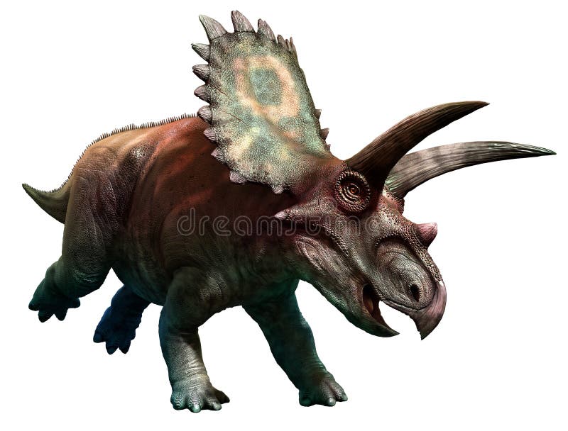 Coahuilaceratops stock illustration. Illustration of coahuilaceratops ...