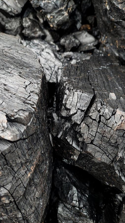 Coal is Also an Organic Rock that Has Complex Physical and Chemical ...