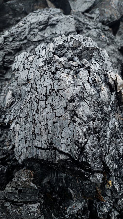 Coal is Also an Organic Rock that Has Complex Physical and Chemical ...