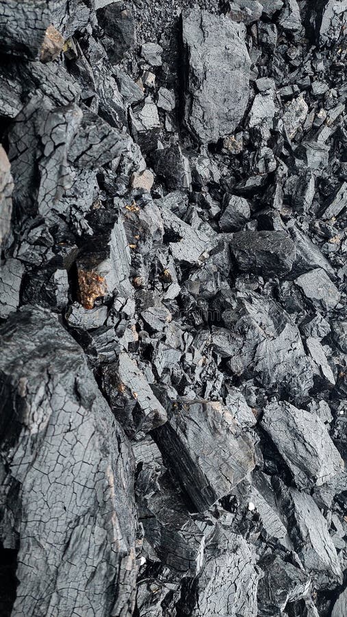 Coal is Also an Organic Rock that Has Complex Physical and Chemical ...