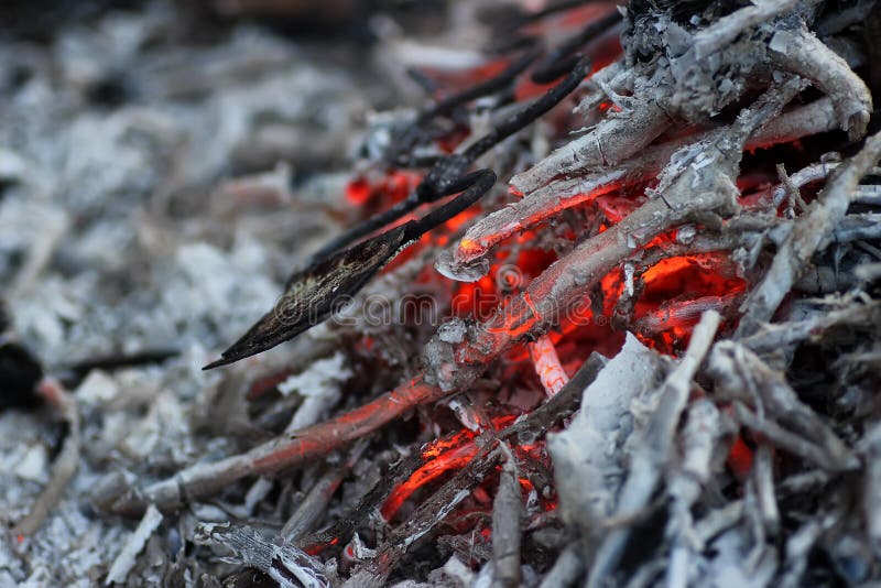 Coal and ash in the fire stock image. Image of campfire - 101460133