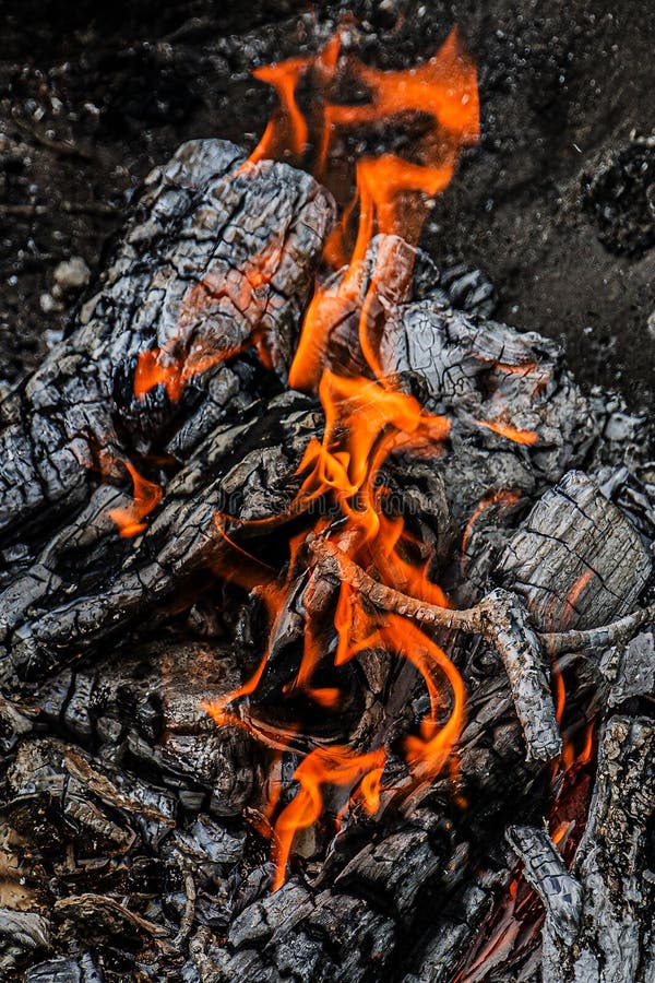 Coal Burning in a Fire Close-up Stock Image - Image of iron, meat ...