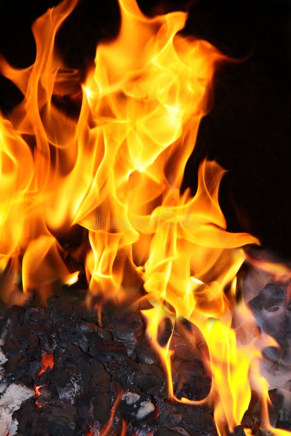 49+ Fire flames vertical Free Stock Photos - StockFreeImages