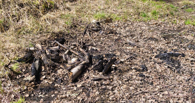 Coal after Fireless Bonfire Stock Image - Image of environment, arson ...