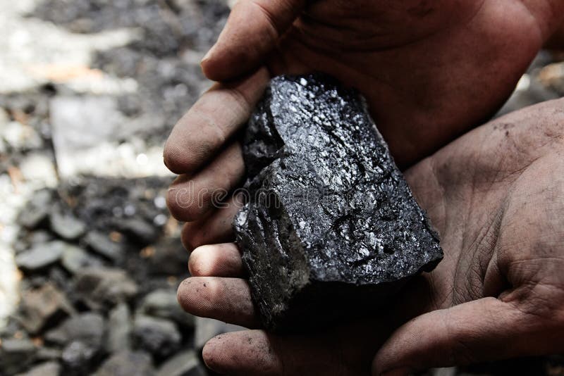 Coal Miner in the Man Hands of Coal Background. Coal Mining or E Stock ...