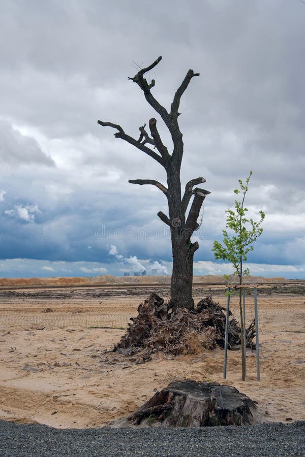 Coal stock photo. Image of energy, factory, electricity - 32464930