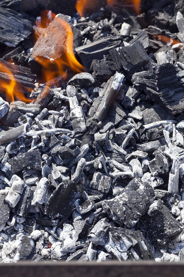 Coal from the Trees and Orange Flame in the Fire Stock Image - Image of ...