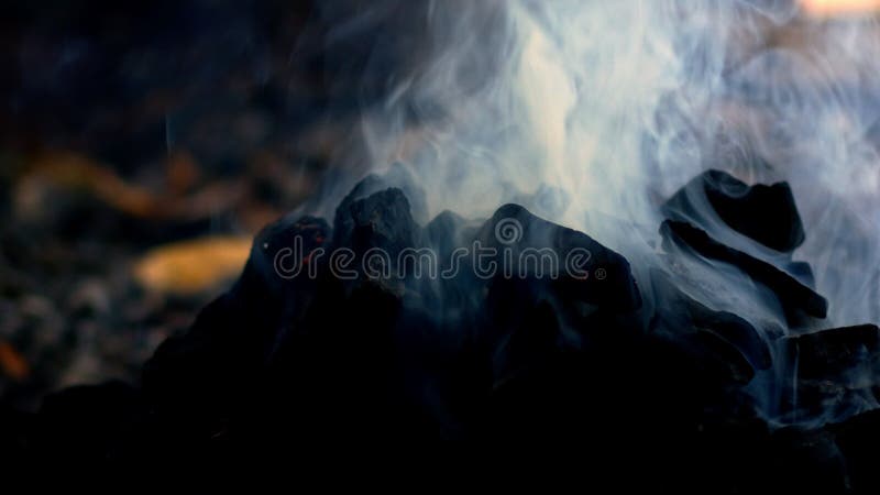 Barbecue Wood and Coal Fire Like Hell Stock Footage - Video of ...