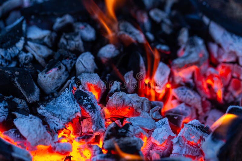 Coals in a burning fire stock photo. Image of campfire - 160488144