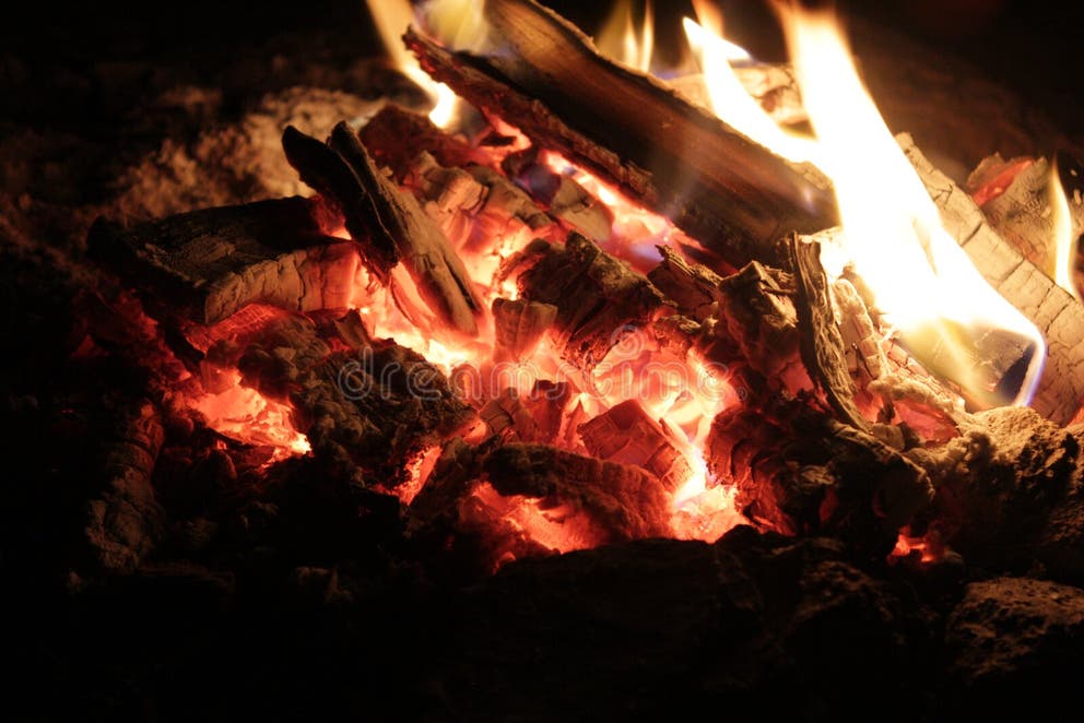 Coals of a Campfire in the Forest Editorial Stock Image - Image of ...
