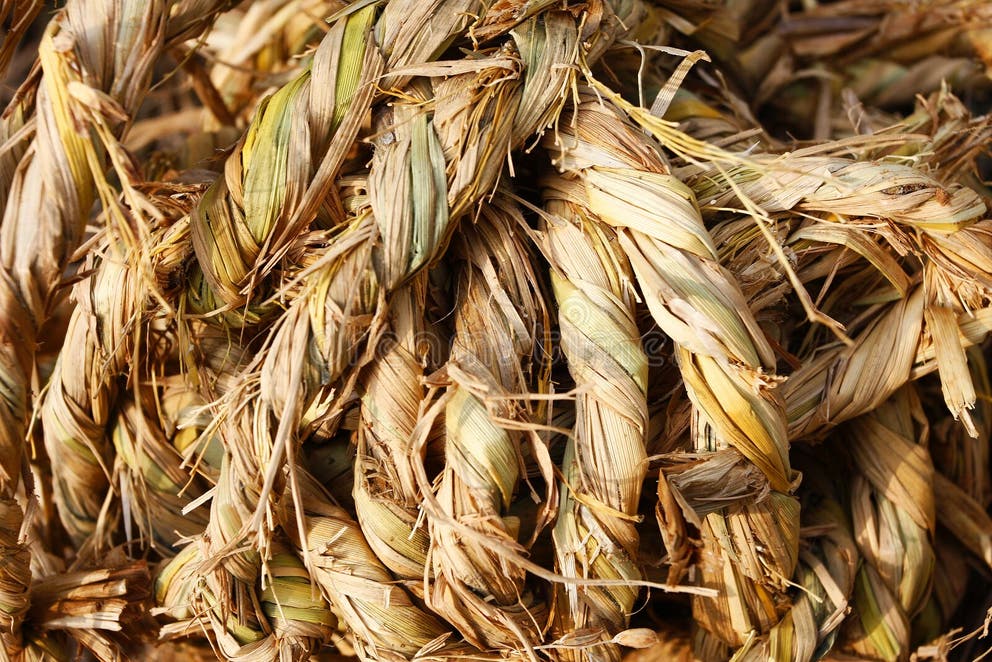 Coarse coir rope texture stock photo. Image of lasso - 13545852