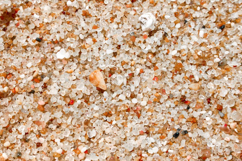 Coarse-grained Beach Sand Texture of the Atlantic Ocean Stock Photo ...