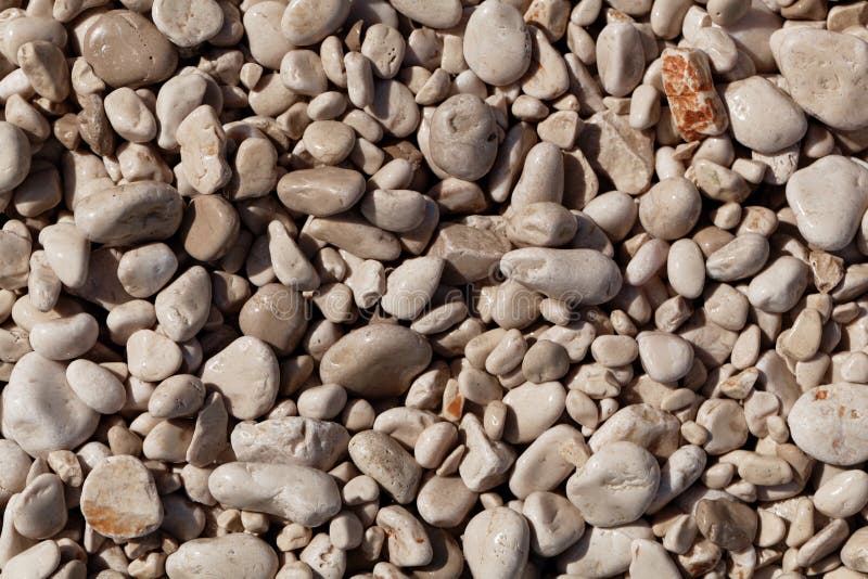 Coarse Grained White Pebble Stones Stock Image - Image of path, gravel ...