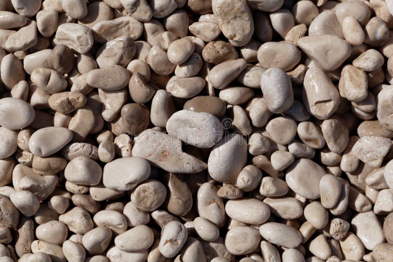 Coarse Grained White Pebble Stones Stock Image - Image of landscaping ...