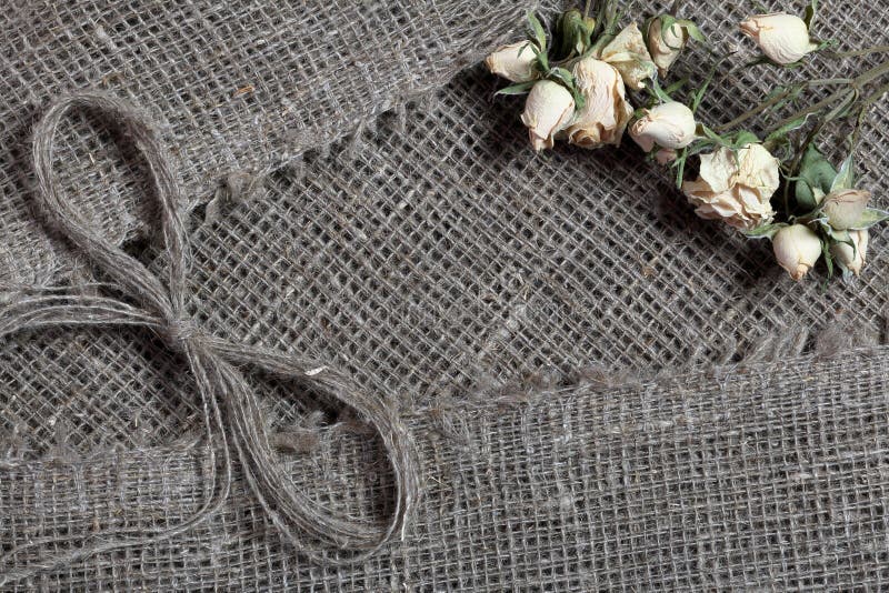 Coarse Linen Fabric. on it are Dried Beige Roses and a Bow of Linen ...