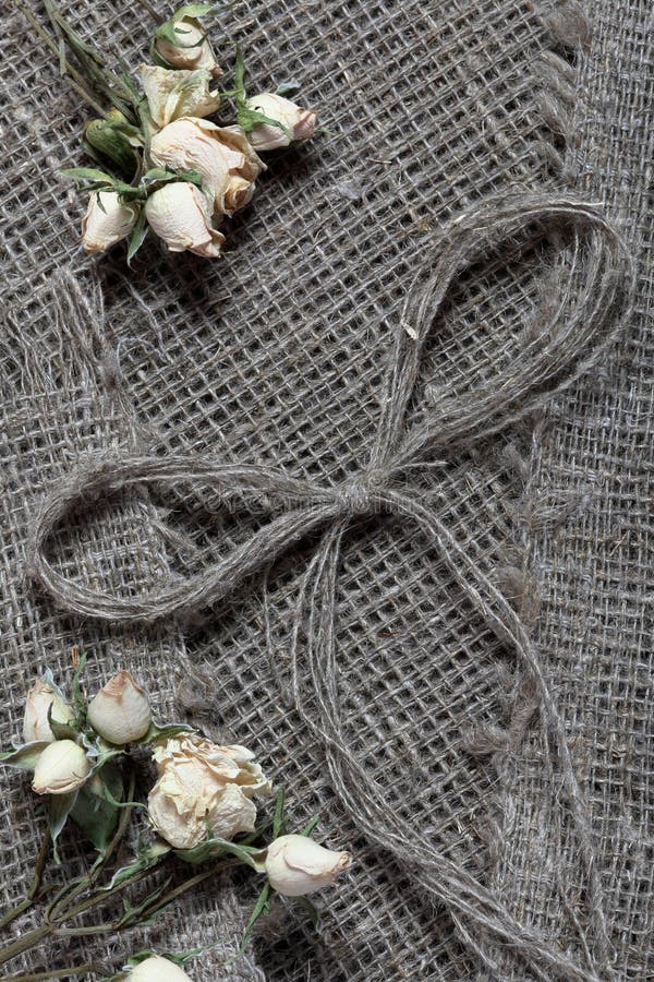 Coarse Linen Fabric. on it are Dried Beige Roses and a Bow of Linen ...