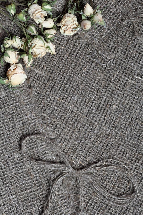 Coarse Linen Fabric. on it are Dried Beige Roses and a Bow of Linen ...