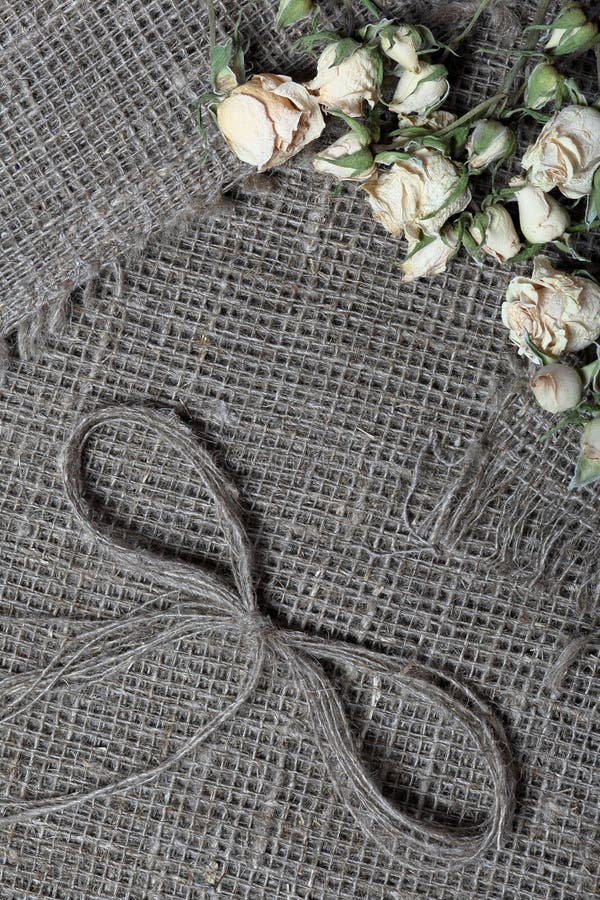 Coarse Linen Fabric. on it are Dried Beige Roses and a Bow of Linen ...
