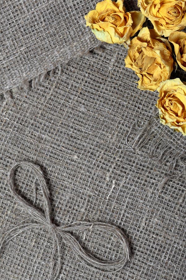 Coarse Linen Fabric. on it are Dried Yellow Roses and a Bow of Linen ...