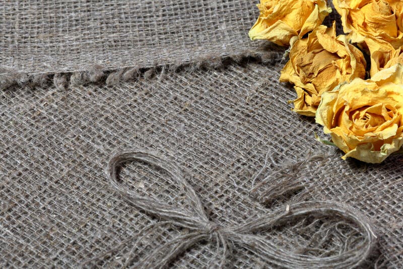 Coarse Linen Fabric. on it are Dried Yellow Roses and a Bow of Linen ...