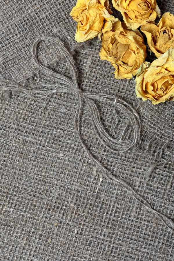 Coarse Linen Fabric. on it are Dried Yellow Roses and a Bow of Linen ...
