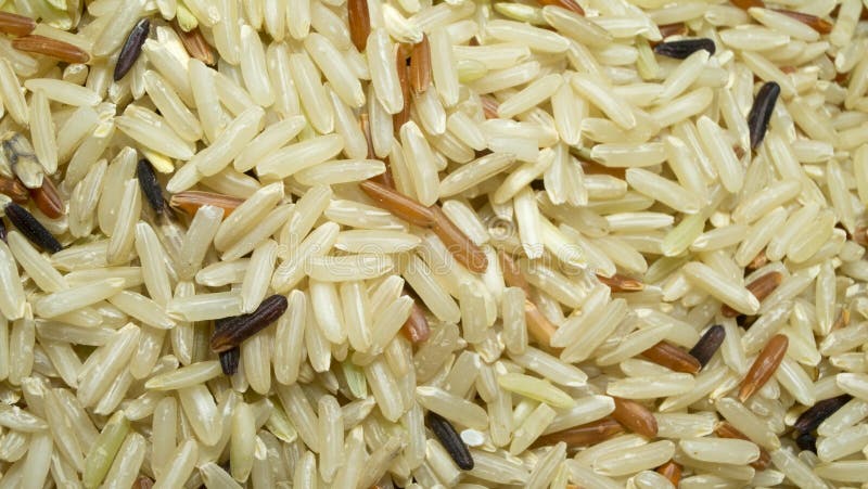 Coarse rice in macro view stock image. Image of closeup - 93421635