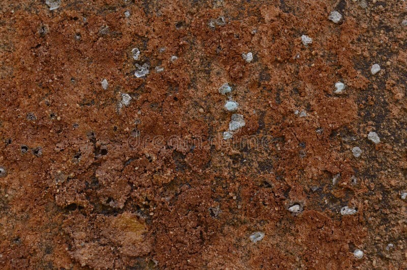 Texture of Coarse Wet Asphalt Stock Photo - Image of dirt, natural ...
