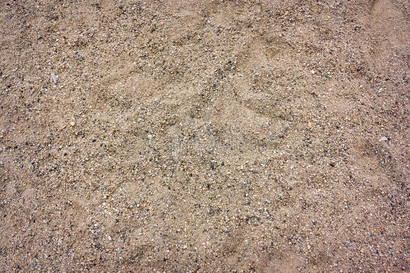 Coarse Sand Texture. Sunlit Sandy Beach Surface, Macro Background ...