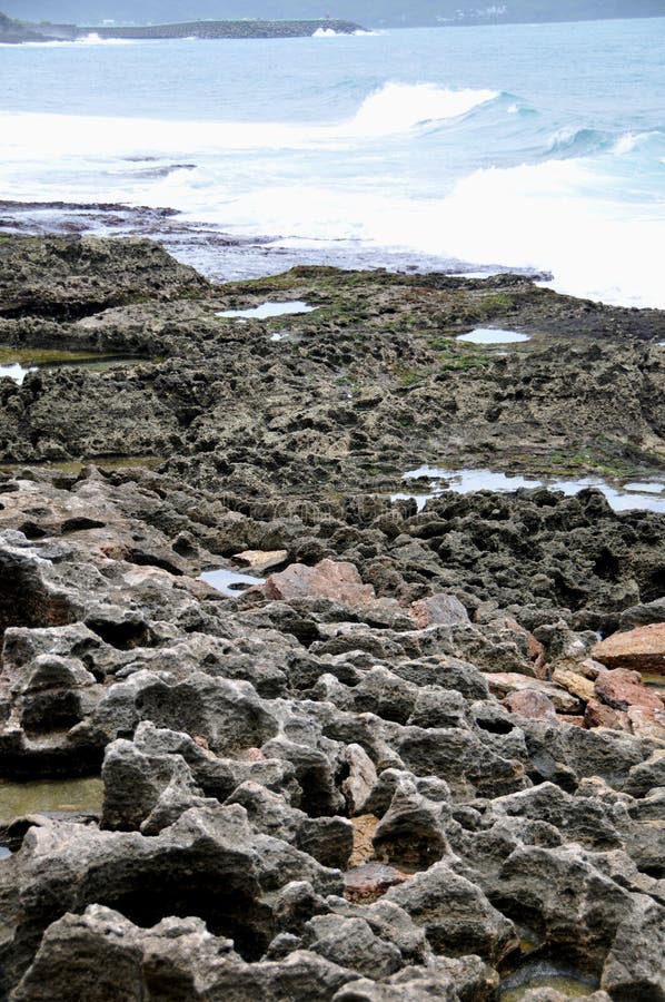 Jagged coast stock photo. Image of coastline, coast, tojinbo - 74498984