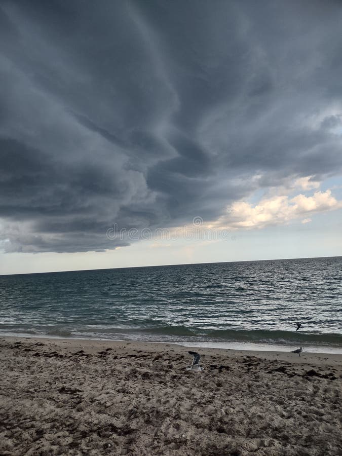 An impending storm stock photo. Image of morning, impending - 266373634