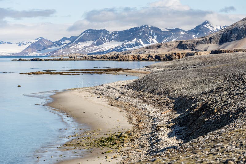 Ice on the Arctic Beach - Spitsbergen, Svalbard Stock Photo - Image of ... Ice on the Arctic Beach - Spitsbergen, Svalbard Stock Photo - Image of ...