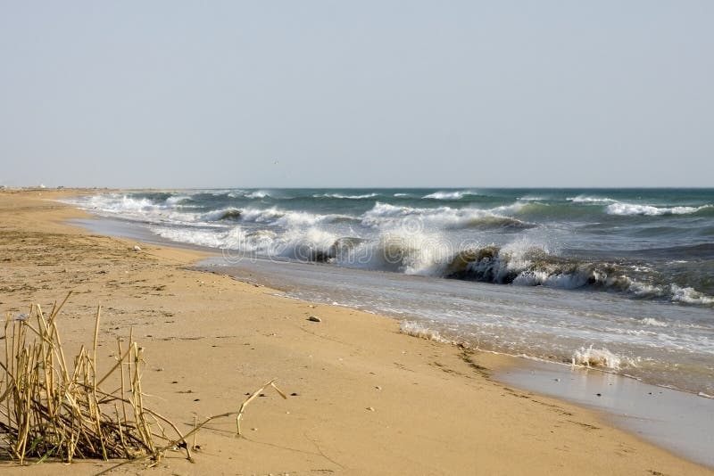 Coast of the Caspian Sea stock image. Image of surf, space - 51951925