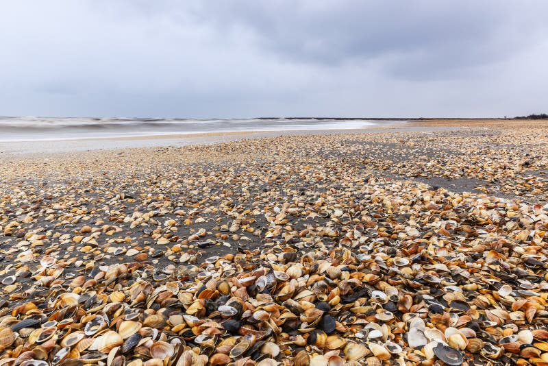 The Coast of the Caspian Sea.Nabran Stock Photo - Image of rough ...