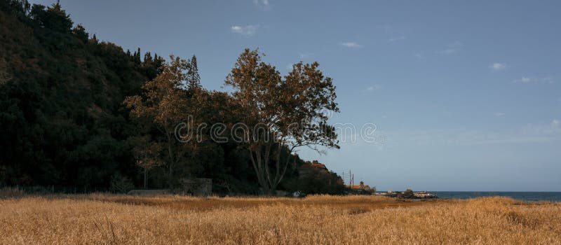 Coast from a Distance, with Tall Cliffs and Rocky Beaches Visible in ...