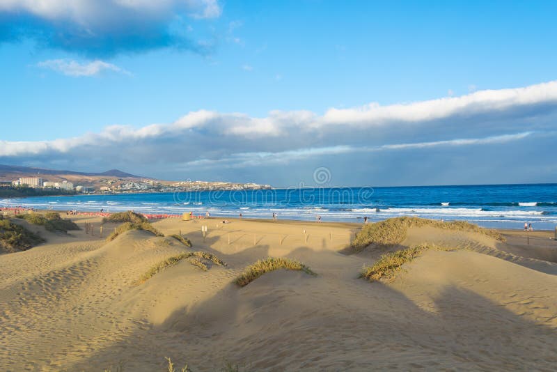 Coast dunes beach sea, stock photo. Image of panorama - 247651908